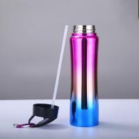 China Electroplating Sports Water Bottle Double Walled Stainless Steel 600ml 750ml for sale