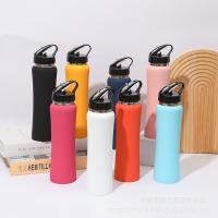 China Electroplating Sports Water Bottle Double Walled Stainless Steel 600ml 750ml for sale