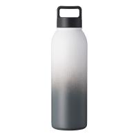 China Printing Double Wall Stainless Steel Thermos Bottle Gradient Unique Color Design for sale