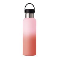 China Double Wall 304 Stainless Steel Vacuum Flask Direct Drinking for sale