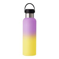 China Double Wall 304 Stainless Steel Vacuum Flask Direct Drinking for sale