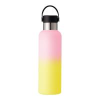 China Double Wall 304 Stainless Steel Vacuum Flask Direct Drinking for sale