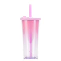 China Acrylic Tumblers With Lids And Straws Skinny 16oz Double Wall for sale