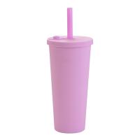 China Acrylic Tumblers With Lids And Straws Skinny 16oz Double Wall for sale