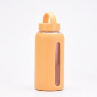 China 800ml High Borosilicate Glass Drink Water Bottles With Time Marker for sale