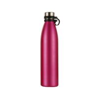 China 17 Oz Stainless Steel Vacuum Insulated Water Bottles Reusable Leak Proof for sale