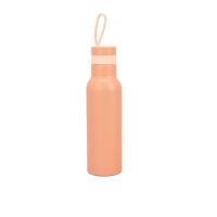 China Single Wall Stainless Steel Irregular Shape Sports Bicycle Water Bottle Customized for sale