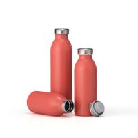 China Insulated Stainless Double Wall Sports Water Bottle Steel 16 Oz for sale