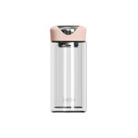 China OEM Double Wall Borosilicate Glass Tea Bottles Tumbler With Strainer And Lid for sale