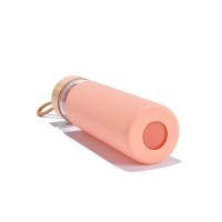 China Custom Silicone Sleeve Double Glass Tea Bottle With Strainer 400ml for sale