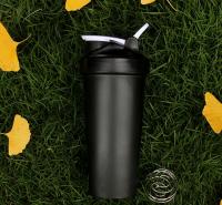 China 700ml BPA FREE Protein Shaker Bottles Cup With Wire Whisk Balls for sale