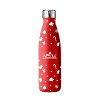 China Personalized Double Wall Insulated Water Jugs SS Steel Water Bottle 500ml for sale