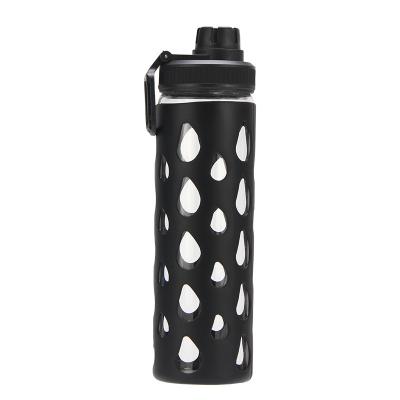 China Clear Frosted Glass Drink Bottles With Stainless Steel Lid 20oz for sale