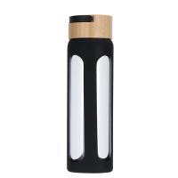 China 350ml Flower Fruit Infuser Glass Drinking Bottles With Food Grade Silicone Cover for sale