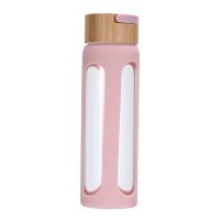 China 350ml Flower Fruit Infuser Glass Drinking Bottles With Food Grade Silicone Cover for sale