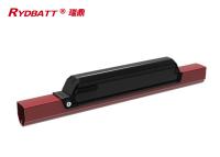 China RYDBATT ID-PLUS(48V) Lithium Battery Pack Redar Li-18650-13S5P-48V 13Ah For Electric Bicycle Battery for sale