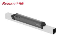 China RYDBATT SSE-068(36V) Lithium Battery Pack Redar Li-18650-10S6P-36V 15.6Ah For Electric Bicycle Battery for sale
