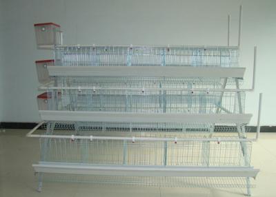 China Battery Chicken Farm Poultry Equipment With Auto Chicken Feeding System for sale