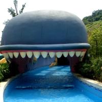 China Fun And Exciting Lazy River Amusement Park With Serene Landscape And Customizable Design for sale