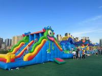 China PVC Bouncing Horse, Inflatable Horse Ride On Inflatable Pony Hops for sale
