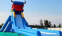 China Funny Colorful Water Slide Commercial Customized Large Hippo Inflatable Water Slide With Pool For Sale for sale