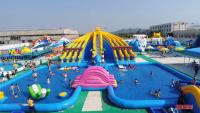 China Water Slide Commercial Customized Large Hippo Inflatable Water Slide With Pool for sale