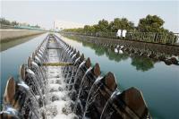 China Town Water Treatment System 50-1000 Ton/h for Drinking House Greening Municipal Public Water for sale