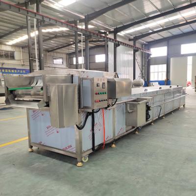 China Industrial Fruit Vegetable Blanching Machine 380V 4500W High Efficiency Food Processing Equipment for sale