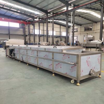 China Automatic Edamame Vegetable Continuous Steam Blanching Machine 380V 4500W for sale
