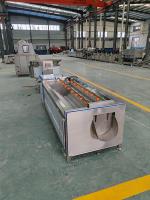 China Brush Roller Washing Machine for Vegetables Potatoes Ginger Peeling Machine 200kg Capacity for sale