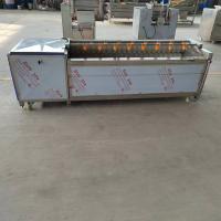 China Brush Roller Washing Machine for Vegetables Potatoes Ginger Peeling Machine 200kg Capacity for sale