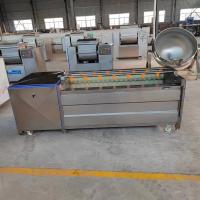 China Brush Roller Washing Machine for Vegetables Potatoes Ginger Peeling Machine 200kg Capacity for sale