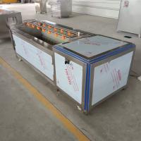 China Brush Roller Washing Machine for Vegetables Potatoes Ginger Peeling Machine 200kg Capacity for sale