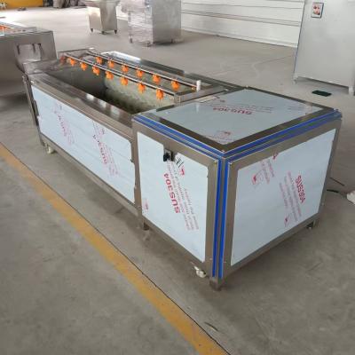 China Brush Roller Washing Machine for Vegetables Potatoes Ginger Peeling Machine 200kg Capacity for sale