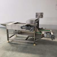 China Automatic Meat Cutting Machine 220V 2000W Chicken Fish Mutton Beef Cutter for Food Processing for sale