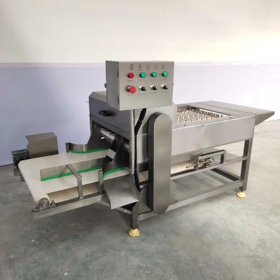China Frozen Chicken Fish Cutting Machine 220V 2000W for Fish Fillet Cube Pieces for sale