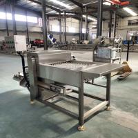 China Automatic Electric Fish Cutter Machine 220V 2000W for Fresh Dry Frozen Fish Processing for sale