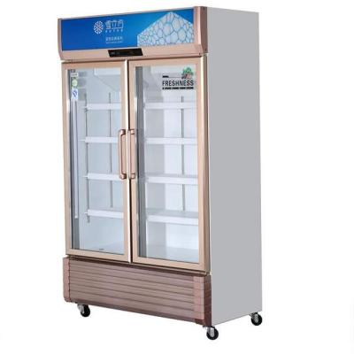 China Fan Cooling Glass Door Display Freezer Golden Color for sale