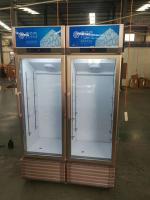 China Fan Cooling Glass Door Display Freezer Golden Color for sale