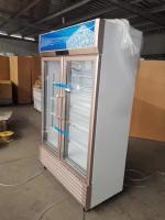 China Fan Cooling Glass Door Display Freezer Golden Color for sale