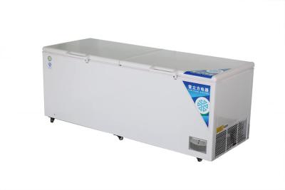 China Deep Horizontal Direct Cooling Refrigerator Commercial Household Dual Purpose for sale