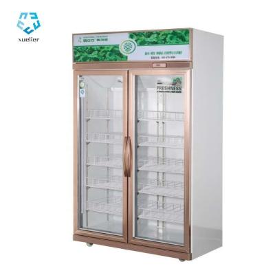 China Double Door Upright Glass Door Display Freezer 2 To 8 Degree for sale