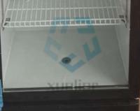 China Commercial double-door upright glass beverage display freezer for sale