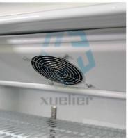 China Commercial double-door upright glass beverage display freezer for sale