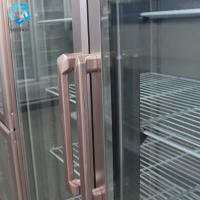 China Glass Door Stainless Steel Freezers Double Temperature 220V for sale