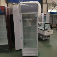 China Commercial Mechanical Temperature-Controlled Beverage Display Freezer for sale