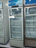 China Commercial Mechanical Temperature-Controlled Beverage Display Freezer for sale