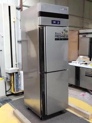 China Restaurant Kitchen Stainless Steel 2 Door Freezer Commercial Deep Refrigeration Refrigerator for sale