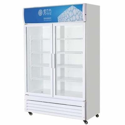 China Double glass doors Economic display type refrigerate and preserve freshness beer cabinet for drinks for sale