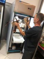 China Stainless Steel Double Door Reefer Freezer Freezer for sale